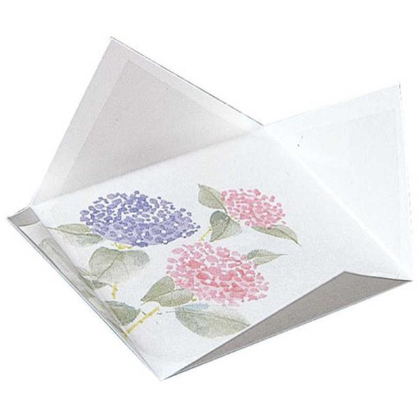 【発売日：2026年02月17日】