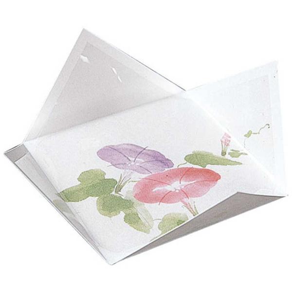 【発売日：2026年02月17日】