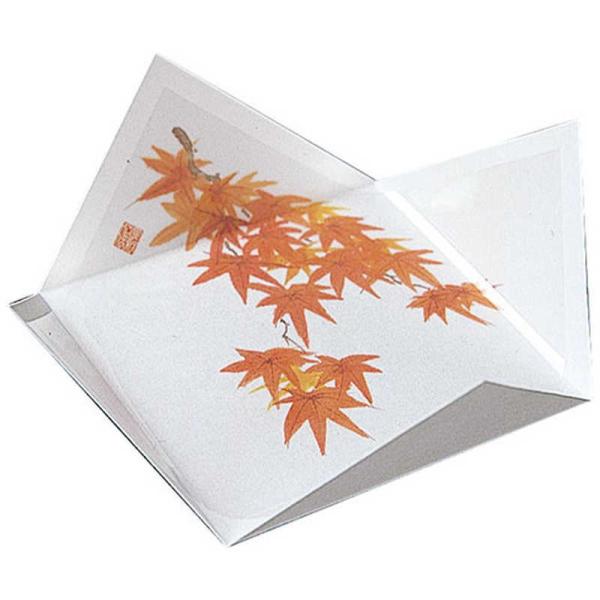 【発売日：2026年02月17日】