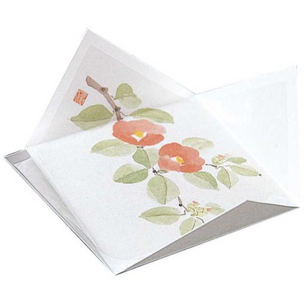 【発売日：2026年02月17日】