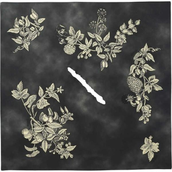 【発売日：2024年05月31日】コジマ kojima コジマヤフー コジマ電気