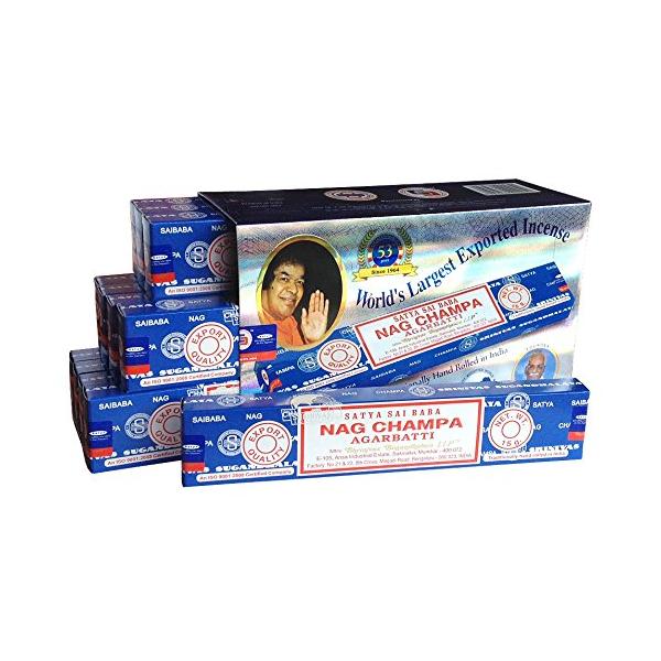 【商品名】　SATYAサイババナグチャンパ15g 12箱セット 【商品説明】　・メーカー側がコピー防止で頻繁に箱内容の細部を変えていますので、そのことを予めご了承ください。・内容量:180g・原産国:インド・商品サイズ (幅×奥行×高さ) ...