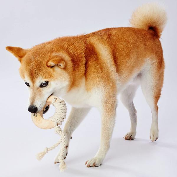 【商品名】　ペティオ(Petio) 犬用おもちゃ Ethical Door エシカルドア 天然木とロープのデンタルリング M 【商品説明】　・ロープのスキマや木の繊維でブラッシング・前足で押さえて噛みやすい形状・原産国:中国 【サイズ】　高...