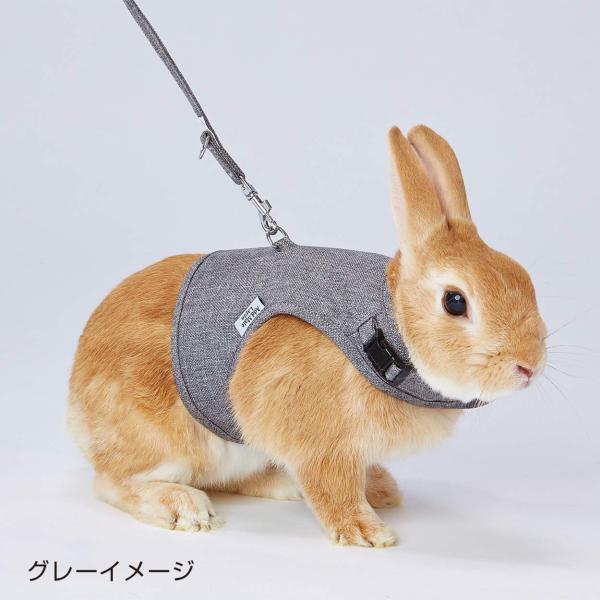【商品名】　アドメイト (ADD. MATE) ラパン Lapin ラパンウォークハーネス Sサイズ グレー うさぎ用 【商品説明】　・原産国:中華人民共和国・本体サイズ (幅X奥行X高さ) :11×4×20.5cm・本体重量:0.08kg...