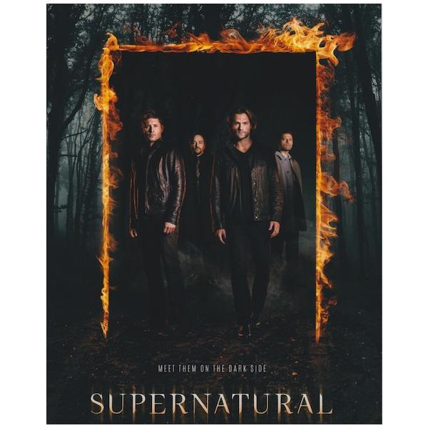 約20.3x25.4cmのサイズの写真です。直輸入品です。プリント紙はコダック、もしくはフジカラーです。