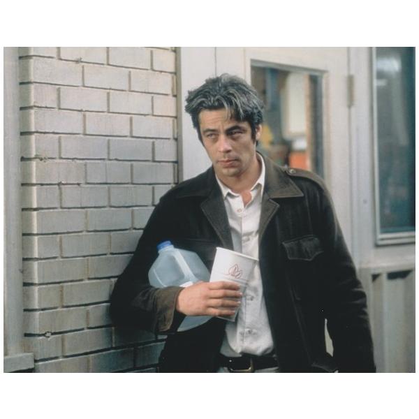 この商品は、8x10インチ（約20.3x25.4cm）の輸入写真です。フジカラー製の写真プリント紙を使用しています。コレクションやインテリアとしても最適です。発送時には防水対策の上、発送時には定形外封筒にダンボール板を写真に重ねて入れていま...