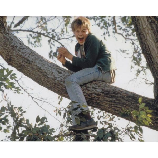 この商品は、8x10インチ（約20.3x25.4cm）の輸入写真です。フジカラー製の写真プリント紙を使用しています。コレクションやインテリアとしても最適です。発送時には防水対策の上、発送時には定形外封筒にダンボール板を写真に重ねて入れていま...