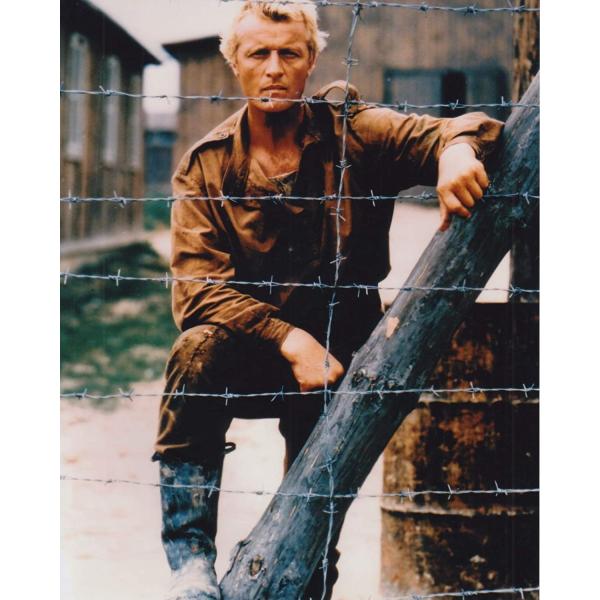 約20.3x25.4cmのサイズの写真です。直輸入品です。プリント紙はコダック、もしくはフジカラーです。