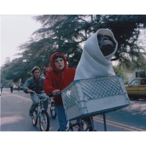 約20.3x25.4cmのサイズの写真です。直輸入品です。プリント紙はコダック、もしくはフジカラーです。