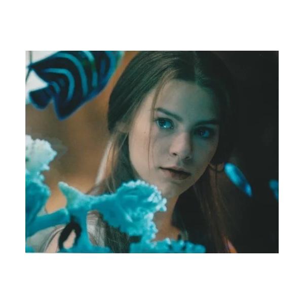 約20.3x25.4cmのサイズの写真です。直輸入品です。プリント紙はコダック、もしくはフジカラーです。