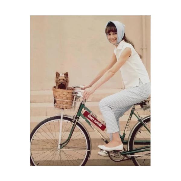 約20.3x25.4cmのサイズの写真です。直輸入品です。プリント紙はコダック、もしくはフジカラーです。