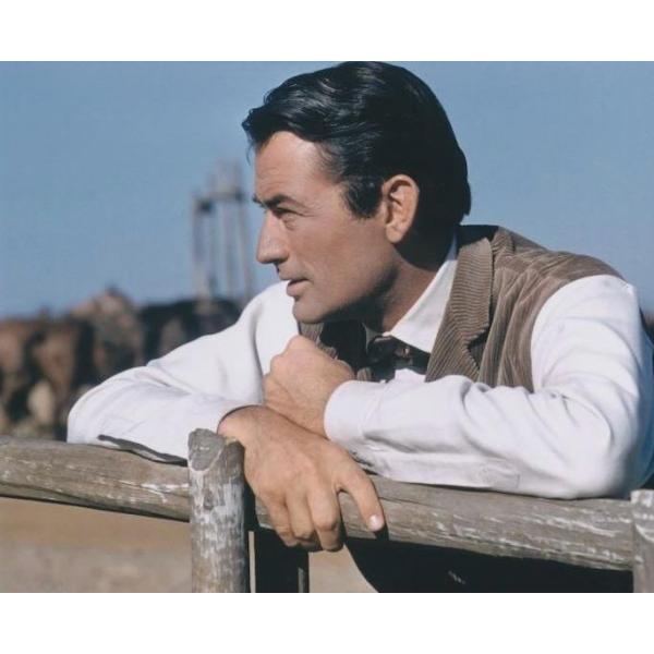 この商品は、8x10インチ（約20.3x25.4cm）の輸入写真です。フジカラー製の高品質な写真用紙を使用しています。コレクションやインテリアとしても最適です。発送時には防水対策の上、発送時には定形外封筒にダンボール板を写真に重ねて入れてい...