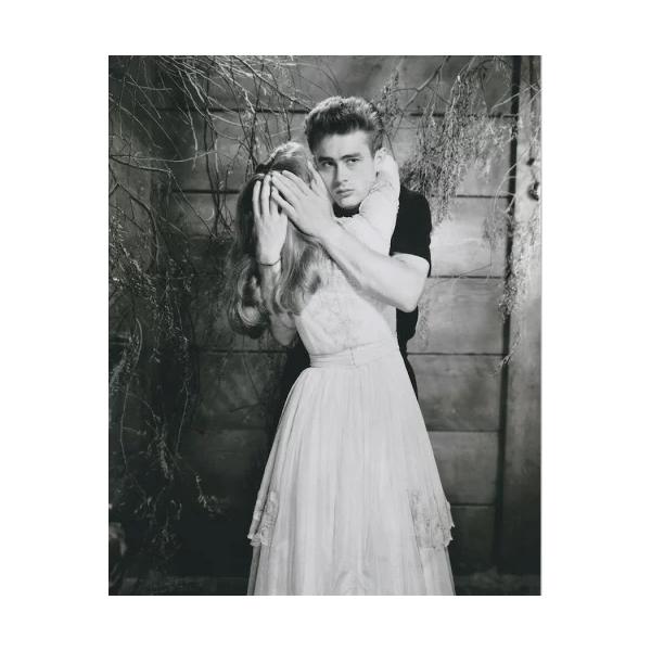 この商品は、8x10インチ（約20.3x25.4cm）の輸入写真です。フジカラー製の高品質な写真用紙を使用しています。コレクションやインテリアとしても最適です。発送時には防水対策の上、発送時には定形外封筒にダンボール板を写真に重ねて入れてい...