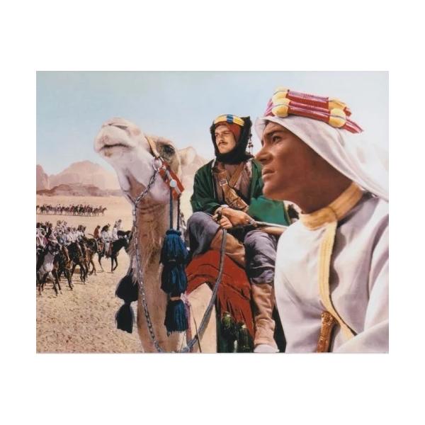 この商品は、8x10インチ（約20.3x25.4cm）の輸入写真です。フジカラー製の高品質な写真用紙を使用しています。コレクションやインテリアとしても最適です。発送時には防水対策の上、発送時には定形外封筒にダンボール板を写真に重ねて入れてい...