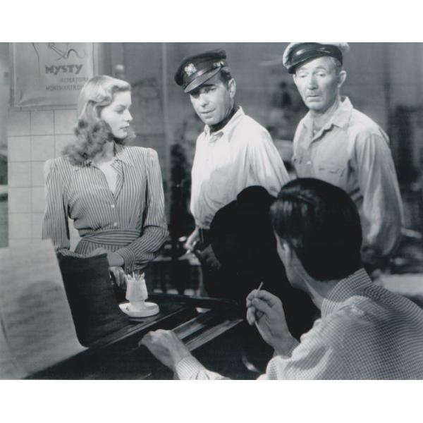 約20.3x25.4cmのサイズの写真です。直輸入品です。プリント紙はコダック、もしくはフジカラーです。