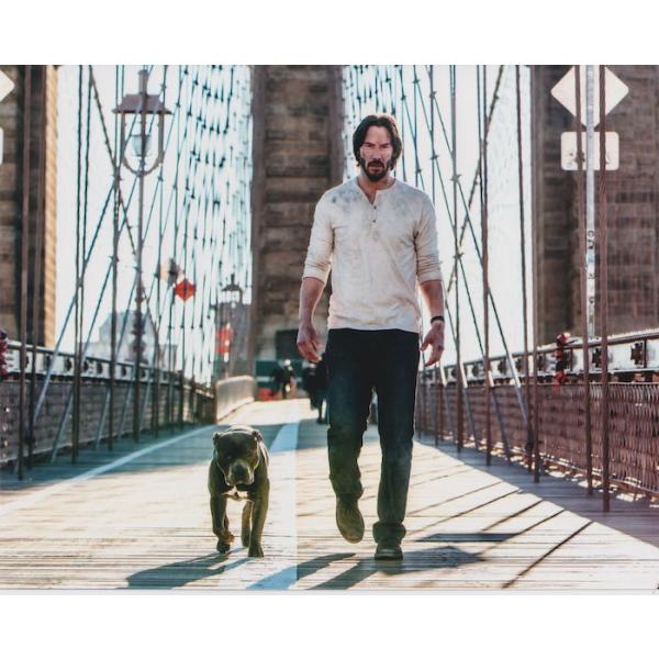 約20.3x25.4cmのサイズの写真です。直輸入品です。プリント紙はコダック、もしくはフジカラーです。