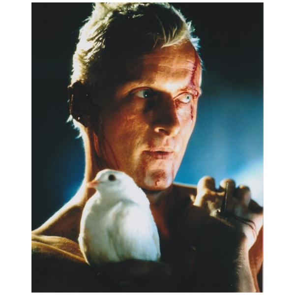 約20.3x25.4cmのサイズの写真です。直輸入品です。プリント紙はコダック、もしくはフジカラーです。