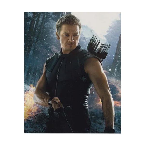 この商品は、8x10インチ（約20.3x25.4cm）の輸入写真です。フジカラー製の写真プリント紙を使用しています。コレクションやインテリアとしても最適です。発送時には防水対策の上、発送時には定形外封筒にダンボール板を写真に重ねて入れていま...