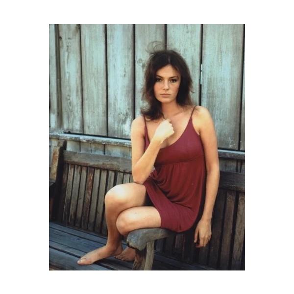 約20.3x25.4cmのサイズの写真です。直輸入品です。プリント紙はコダック、もしくはフジカラーです。