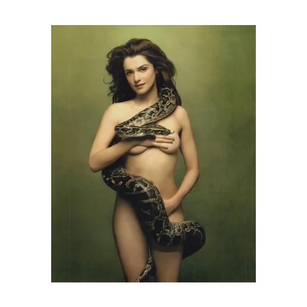 約20.3x25.4cmのサイズの写真です。直輸入品です。プリント紙はコダック、もしくはフジカラーです。