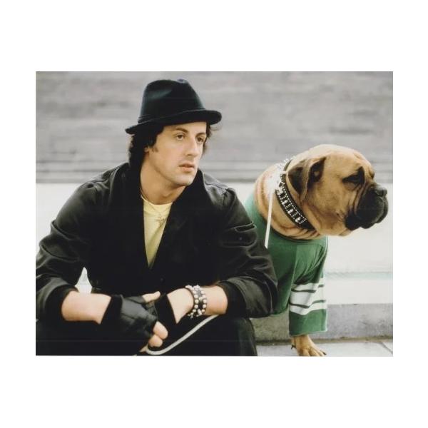 約20.3x25.4cmのサイズの写真です。直輸入品です。プリント紙はコダック、もしくはフジカラーです。