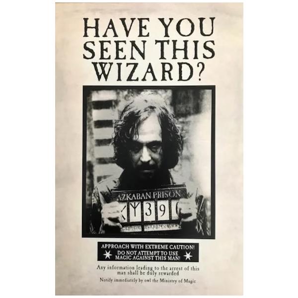 約43.5x28cmの小ぶりなサイズのポスターです。