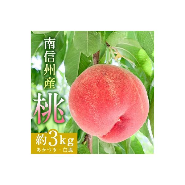 ■お礼品詳細　・原産地：長野県飯田市・下伊那郡　・賞味期限：出荷日＋4日　・配送方法：クール便(冷蔵)　・提供元：農業生産法人(株)丸中中根園■お申し込み・配送・その他　・発送時期：2026-07-19〜2026-08-19(お届け時間帯指...