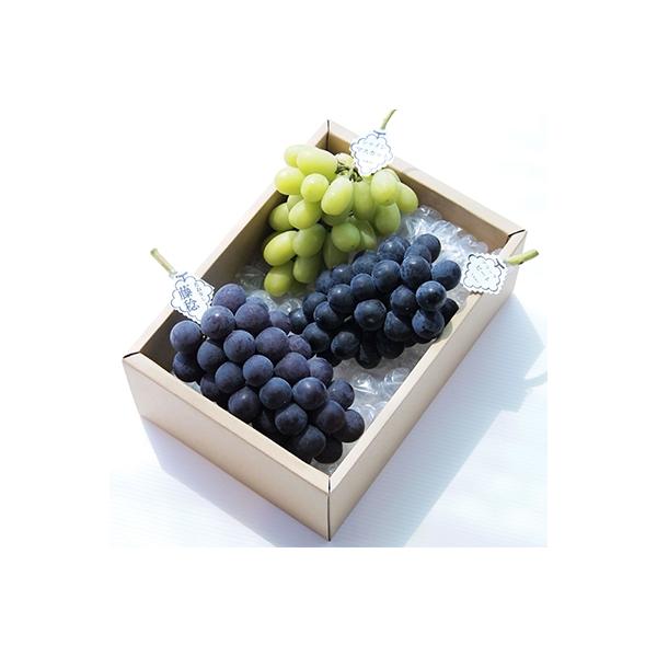 ■お礼品詳細　・賞味期限：1週間　・配送方法：クール便（冷蔵）　・提供元：西川亘農園■お申し込み・配送・その他　・発送時期：2026-08-08〜2026-10-06　・申込受付期間：〜2026-10-01　・配達外のエリア：離島、沖縄県　...