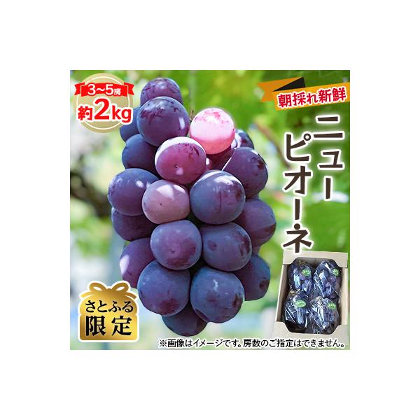 ■お礼品詳細　・賞味期限：出荷日+約1週間　・配送方法：クール便(冷蔵)　・提供元：まほらファーム■お申し込み・配送・その他　・発送時期：2026-08-02〜2026-09-25(お届け時間帯指定可)　・申込受付期間：2025-12-01...