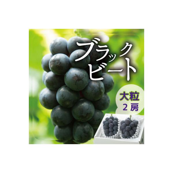 ■お礼品詳細　・配送種別：冷蔵便　・提供元：甲斐国物語■お申し込み・配送・その他　・発送時期：2026-07-28〜2026-08-20(お届け時間帯指定可)　・申込受付期間：〜2026-07-31　・配達外のエリア：離島、沖縄県　・寄付証...