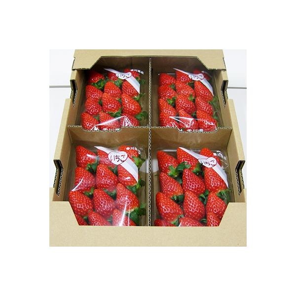 ■お礼品詳細　・配送方法：クール便(冷蔵)　・提供元：（株）五色青果（三豊市）■お申し込み・配送・その他　・発送時期：2026-01-22〜2026-05-31(お届け時間帯指定可)　・申込受付期間：〜2026-04-30　・配達外のエリア...