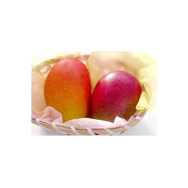 ■お礼品詳細　・提供元：西島園芸団地■お申し込み・配送・その他　・発送時期：2026-06-10〜2026-07-05(お届け時間帯指定可)　・申込受付期間：〜2026-06-30　・配達外のエリア：　・寄付証明書の送付時期目安：申込完了日...