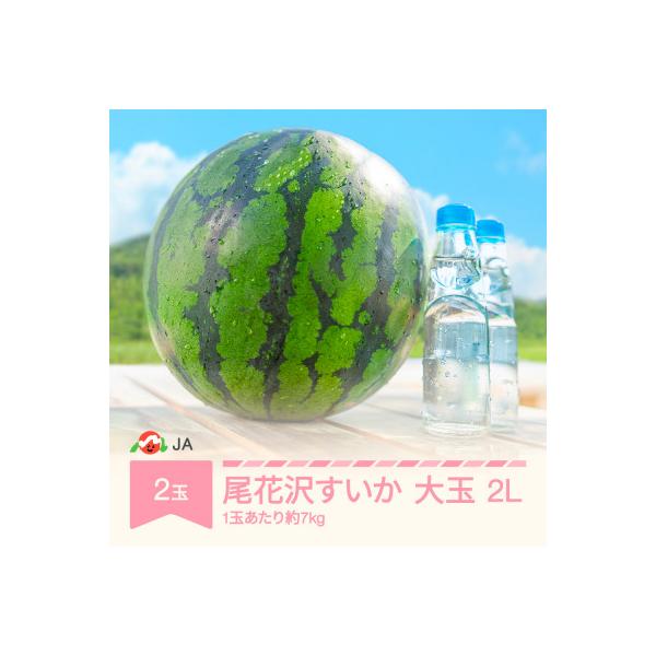 ■お礼品詳細　・内容量：2Lサイズ(2玉入り)　・原産地：JAみちのく村山産　・賞味期限：7日　・提供元：ＪＡみちのく村山■お申し込み・配送・その他　・発送時期：2026-07-11〜2026-08-10(お届け時間帯指定可)　・申込受付期...