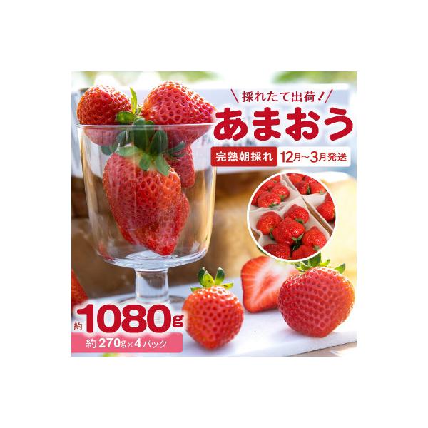 ■お礼品詳細　・配送方法：クール便(冷蔵)　・提供元：らんらんふぁーむ■お申し込み・配送・その他　・発送時期：2025-12-25〜2026-03-31(お届け時間帯指定可)　・申込受付期間：〜2026-03-10　・配達外のエリア：離島、...