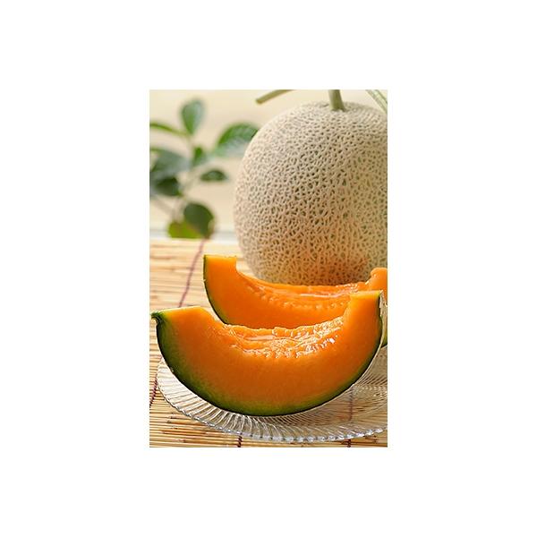 ■お礼品詳細　・提供元：ファーマーズマーケット　夢ミール■お申し込み・配送・その他　・発送時期：2026-07-15〜2026-08-03(お届け時間帯指定可)　・申込受付期間：〜2026-07-15 　・配達外のエリア：離島、沖縄県　・寄...