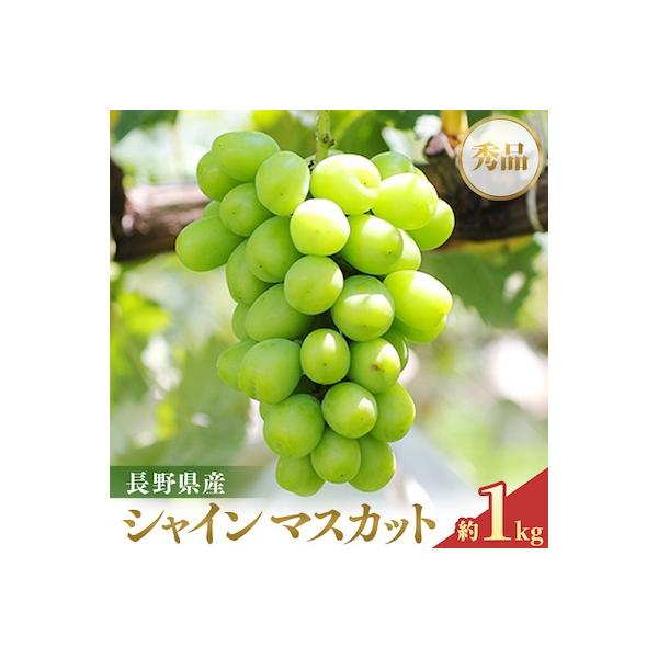■お礼品詳細　・配送方法：クール便(冷蔵)　・提供元：山下屋荘介（高森町）■お申し込み・配送・その他　・発送時期：2026-09-25〜2026-11-06(お届け時間帯指定可)　・申込受付期間：2025-12-01〜2026-03-31　...