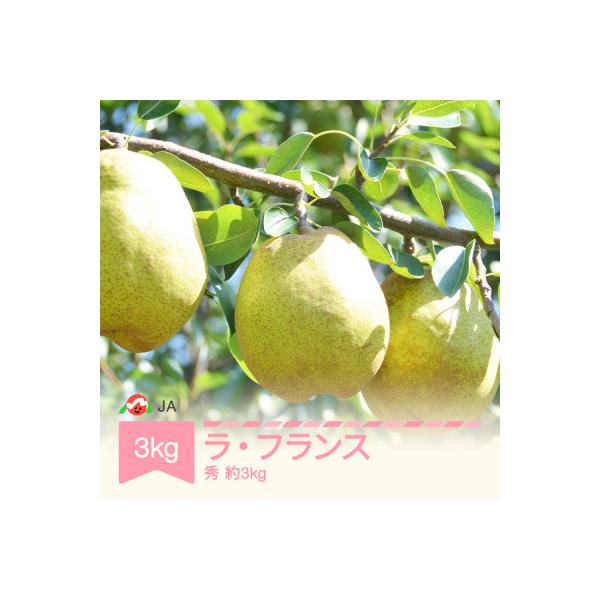 ■お礼品詳細　・提供元：ＪＡみちのく村山■お申し込み・配送・その他　・発送時期：2026-11-01〜2026-11-19(お届け時間帯指定可)　・申込受付期間：〜2026-10-10　・配達外のエリア：　・寄付証明書の送付時期目安：申込完...