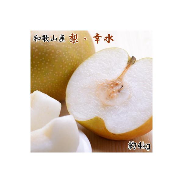 ■お礼品詳細　・配送種別：冷蔵便　・提供元：紀の川市厳選館■お申し込み・配送・その他　・発送時期：2026-07-27〜2026-08-19(お届け時間帯指定可)　・申込受付期間：2025-09-03〜2026-07-26　・配達外のエリア...