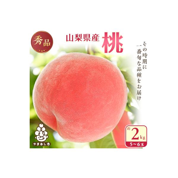 ■お礼品詳細　・配送種別：冷蔵便　・提供元：山梨市フルーツパーク■お申し込み・配送・その他　・発送時期：2026-07-02〜2026-08-15(お届け時間帯指定可)　・申込受付期間：〜2026-07-31　・配達外のエリア：離島、沖縄県...