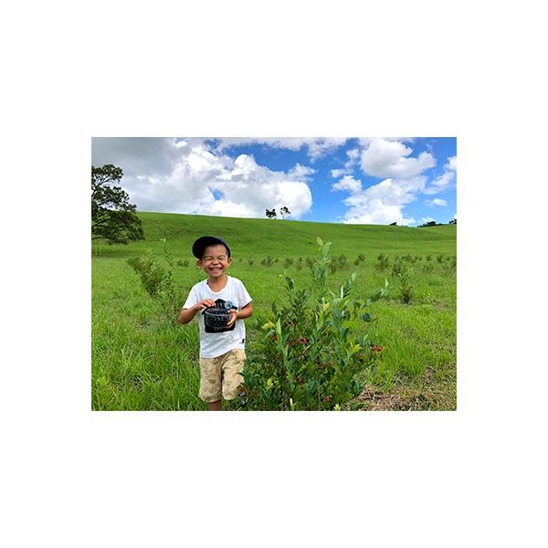 ■お礼品詳細　・配送方法：クール便(冷凍)　・提供元：久住高原童心回帰農場■お申し込み・配送・その他　・発送時期：2025年8月1日以降順次発送(お届け時間帯指定可)　・申込受付期間：通年　・配達外のエリア：離島　・寄付証明書の送付時期目安...