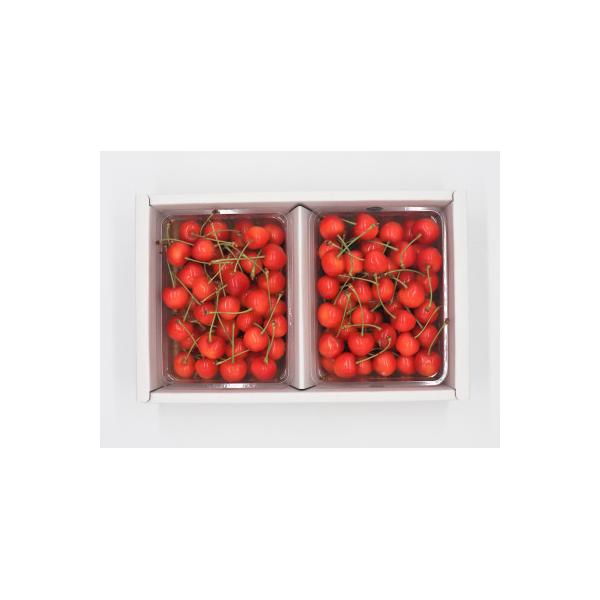 ■お礼品詳細　・配送方法：クール便(冷蔵)　・提供元：(一社）村山市観光物産協会■お申し込み・配送・その他　・発送時期：2026-06-01〜2026-06-30　※生育状況により前後する場合があります(お届け時間帯指定可)　・申込受付期間...