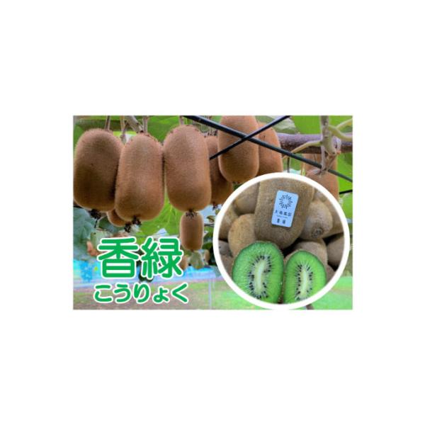 ■お礼品詳細　・提供元：大晴農園■お申し込み・配送・その他　・発送時期：2025-12-05〜2026-02-20(お届け時間帯指定可)　・申込受付期間：2025-09-01〜2026-02-13　・配達外のエリア：離島　・寄付証明書の送付...