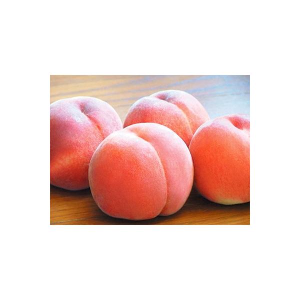 ■お礼品詳細　・配送方法：クール便(冷蔵)　・提供元：（株）五色青果（高松市）■お申し込み・配送・その他　・発送時期：2026-06-22〜2026-07-25(お届け時間帯指定可)　・申込受付期間：〜2026-07-10　・配達外のエリア...