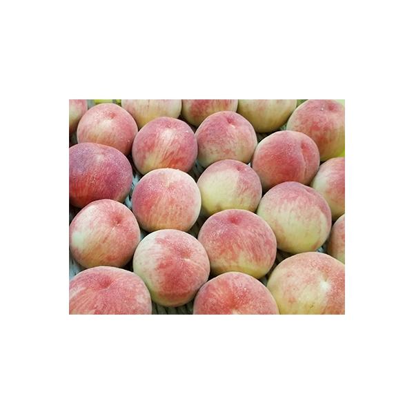 ■お礼品詳細　・配送方法：クール便(冷蔵)　・提供元：（株）五色青果（高松市）■お申し込み・配送・その他　・発送時期：2026-06-20〜2026-07-24(お届け時間帯指定可)　・申込受付期間：〜2026-07-10迄　・配達外のエリ...