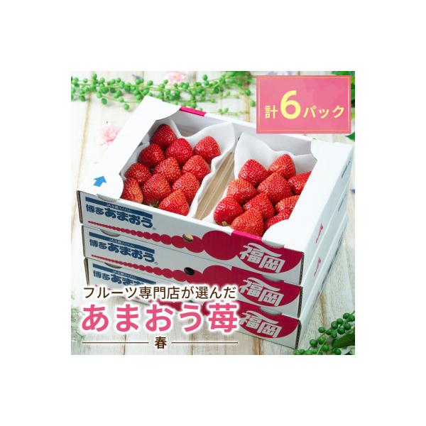 ■お礼品詳細　・配送方法：クール便(冷蔵)　・提供元：南国フルーツ・果実村TOKIO（ＳＴ）■お申し込み・配送・その他　・発送時期：2026-02-01〜2026-04-15(お届け時間帯指定可)　・申込受付期間：〜2026-03-31　・...