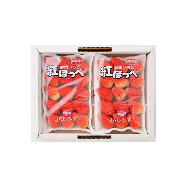 ■お礼品詳細　・配送方法：クール便(冷蔵)　・提供元：清水農業協同組合■お申し込み・配送・その他　・発送時期：2026-02-01〜2026-04-24(お届け時間帯指定可)　・申込受付期間：2025-06-09〜2026-04-10　・配...