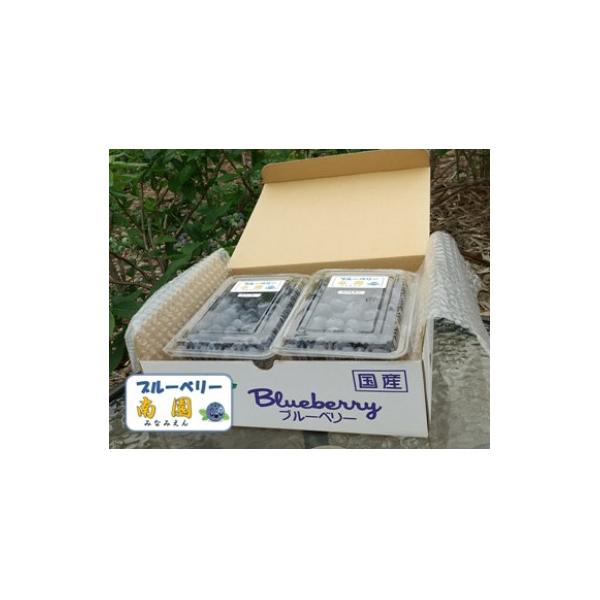 ■お礼品詳細　・配送方法：クール便(冷蔵)　・提供元：ブルーベリー南園■お申し込み・配送・その他　・発送時期：2026-06-05〜2026-08-10(お届け時間帯指定可)　・申込受付期間：2025-09-10〜2026-05-10　・配...