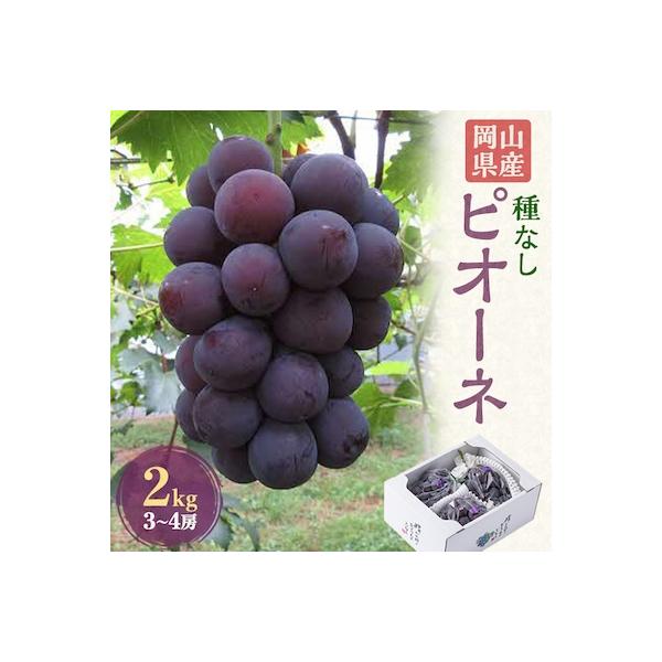 ■お礼品詳細　・配送方法：クール便(冷蔵)　・提供元：株式会社　特産館みまさか（道の駅　彩菜茶屋）■お申し込み・配送・その他　・発送時期：2026-08-20〜2026-09-30(お届け時間帯指定可)　・申込受付期間：〜2026-08-3...