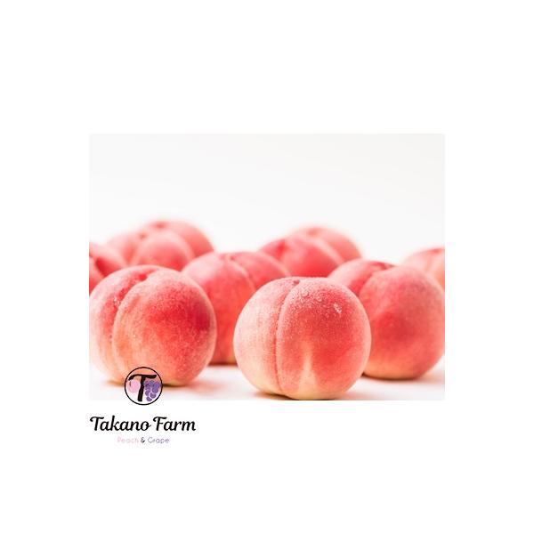 ■お礼品詳細　・配送方法：クール便(冷蔵)　・提供元：Takano Farm（ＳＴ）■お申し込み・配送・その他　・発送時期：2026-07-01〜2026-08-10(お届け時間帯指定可)　・申込受付期間：〜2026-06-30　・配達外の...