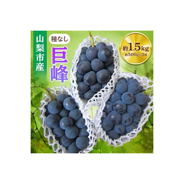 ■お礼品詳細　・配送種別：冷蔵便　・提供元：山梨市フルーツパーク■お申し込み・配送・その他　・発送時期：2026-08-20〜2026-09-10(お届け時間帯指定可)　・申込受付期間：〜2026-09-01　・配達外のエリア：離島、沖縄県...